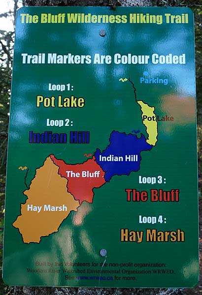 Color coding of trail loops